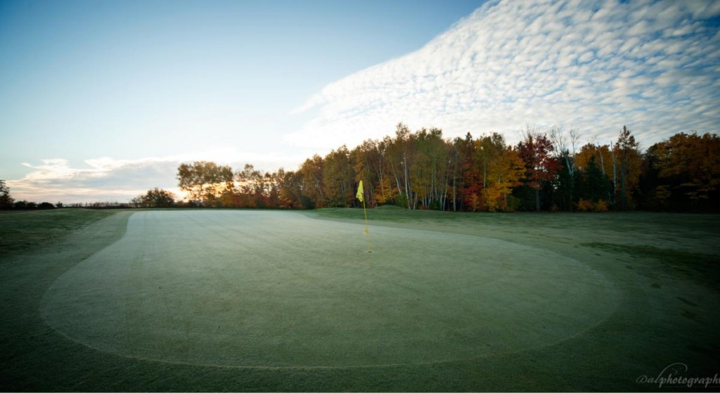 Photos | The Maples Golf
