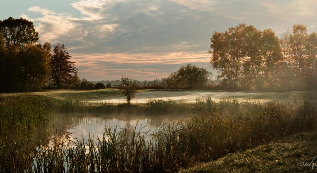Photos | The Maples Golf