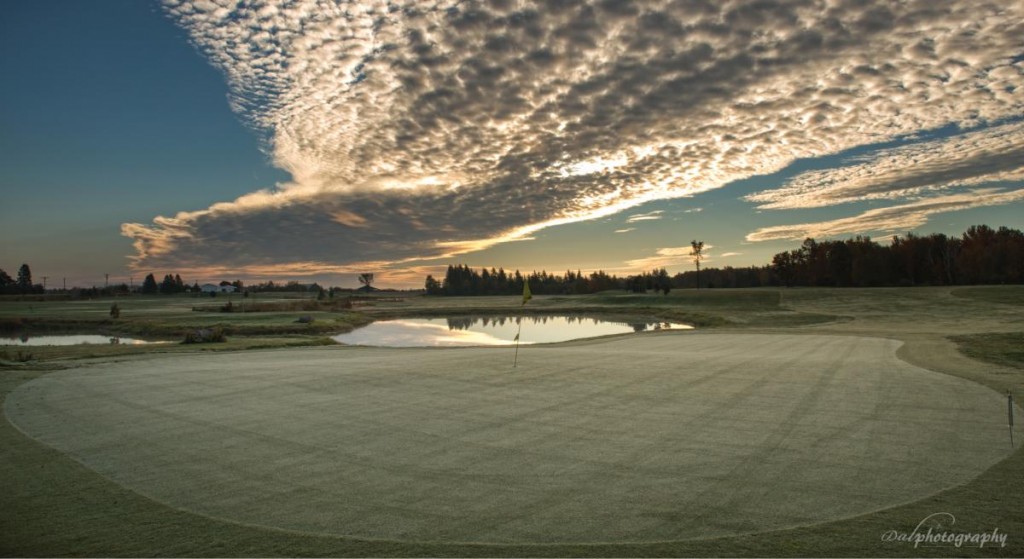 Photos | The Maples Golf