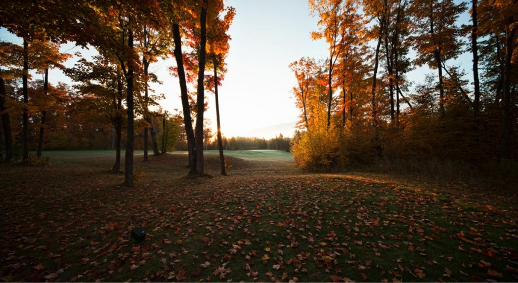Photos | The Maples Golf